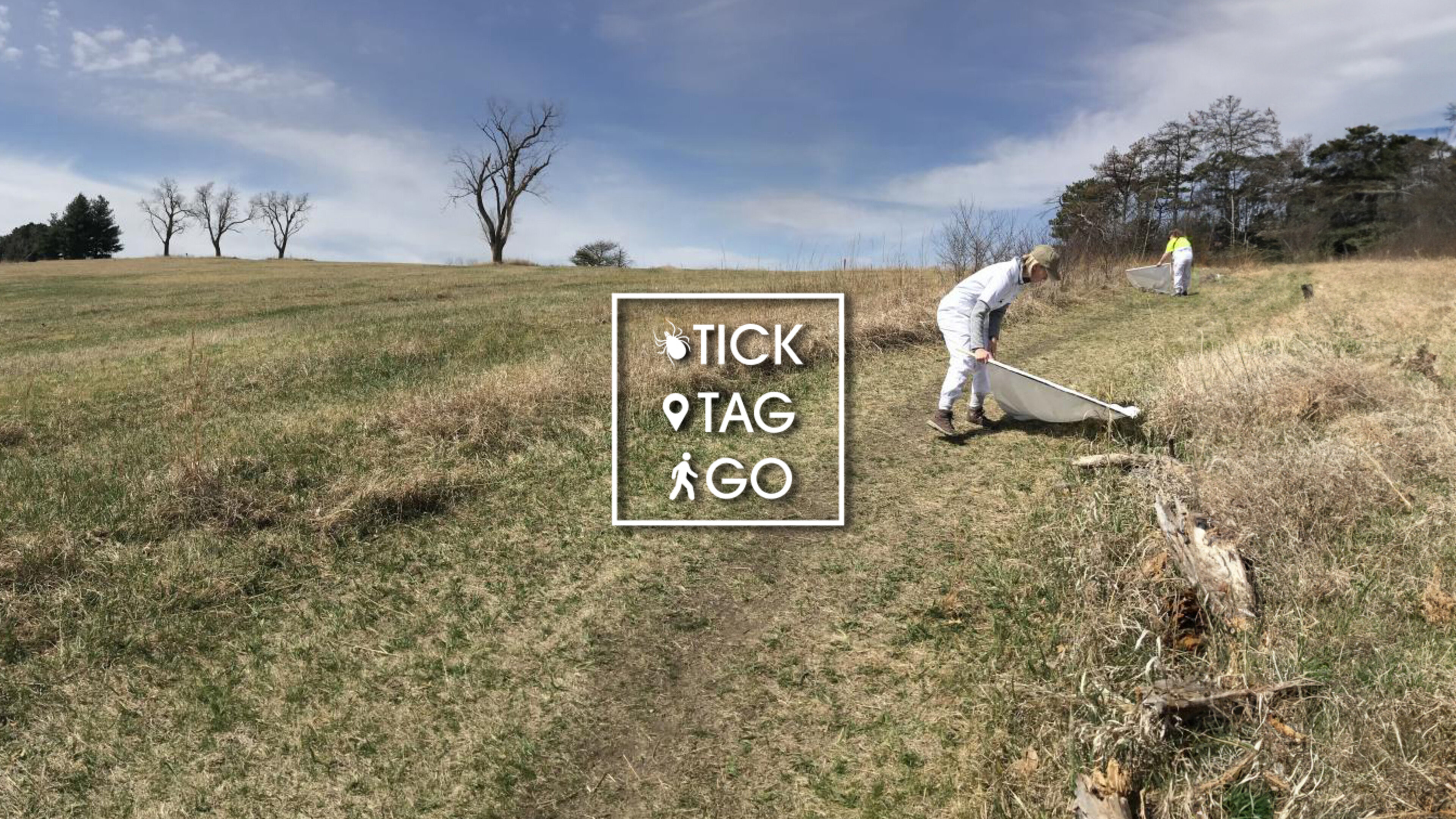 Tick Tag Go - Observations & Identification | Nebraska One Health ...
