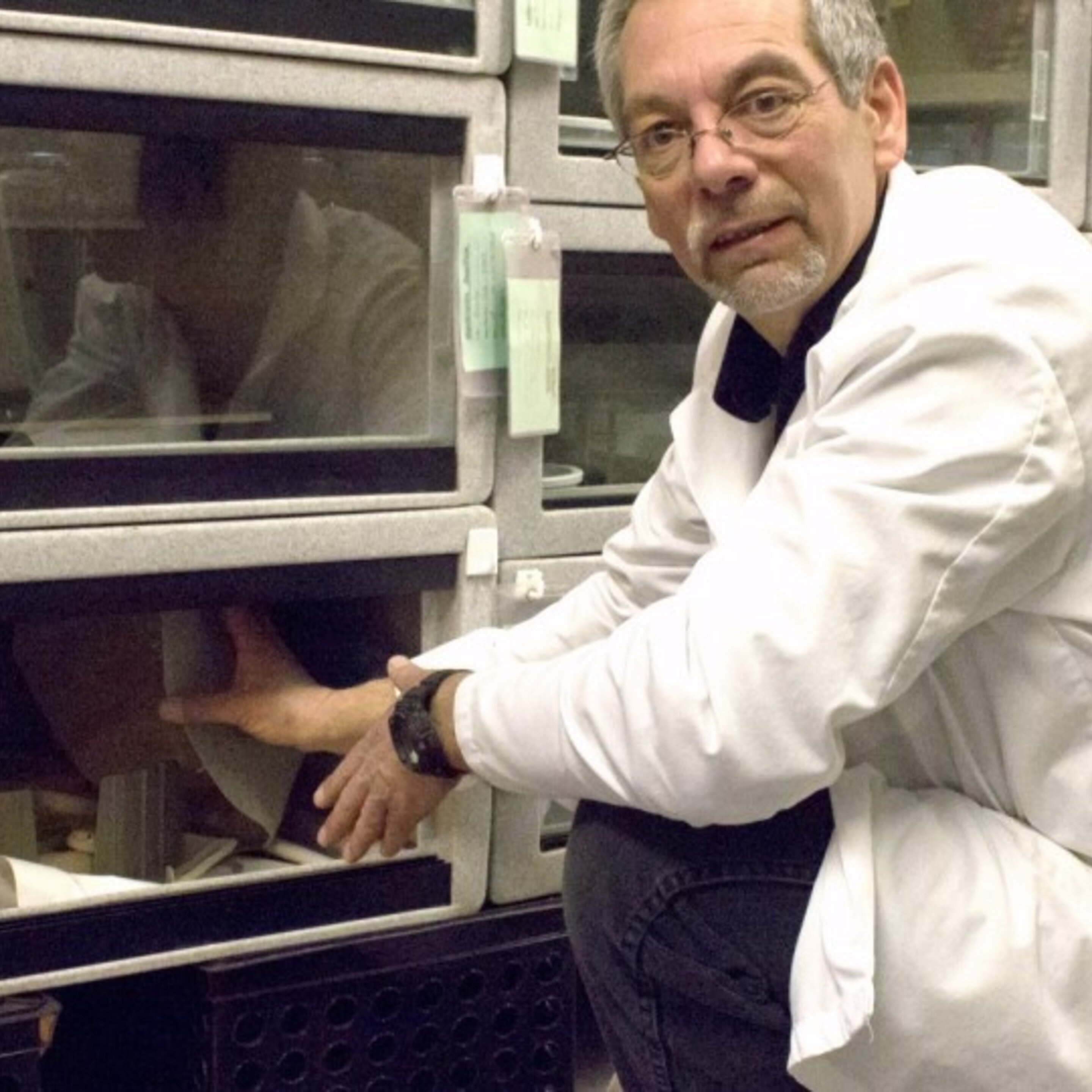 One Health Illustration Series | Nebraska One Health | Nebraska