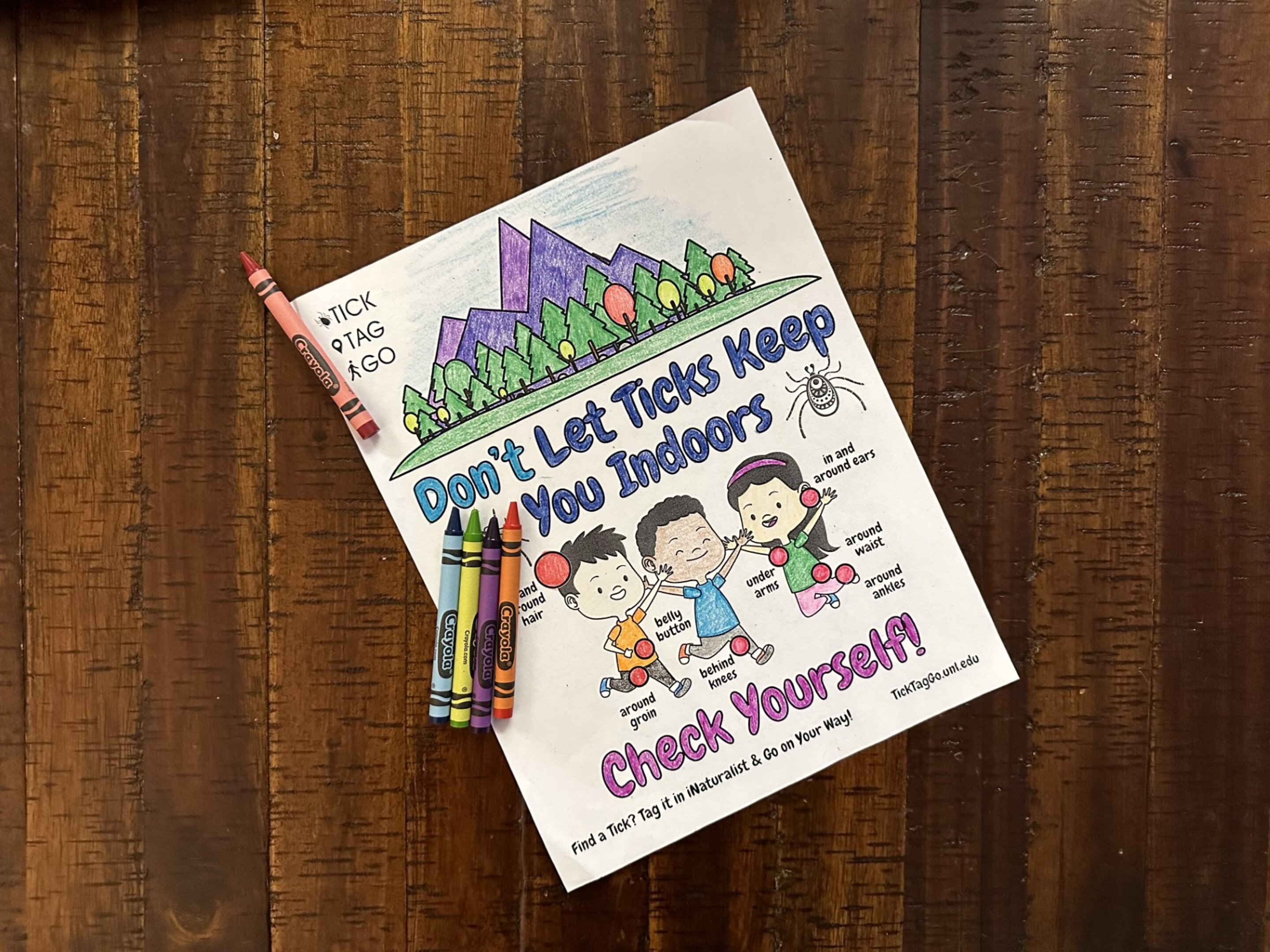 Tick Tag Go Resources | Nebraska One Health | Nebraska